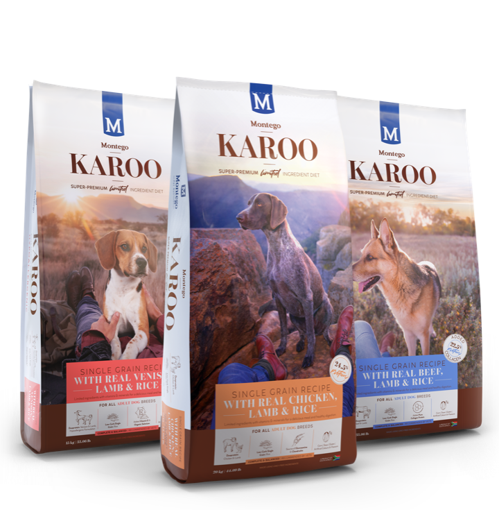 Montego Karoo Adult Single Grain 8kg – Eldo Elite Pet Foods
